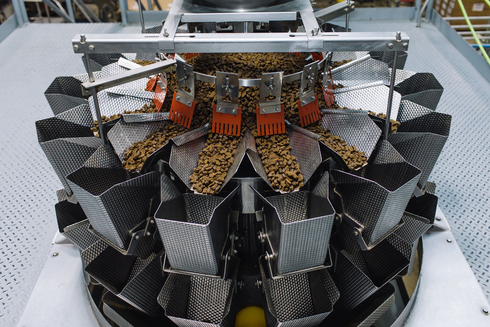 Pet Supplement Manufacturing: Solution Comparison Guide | Pet Tech Labs